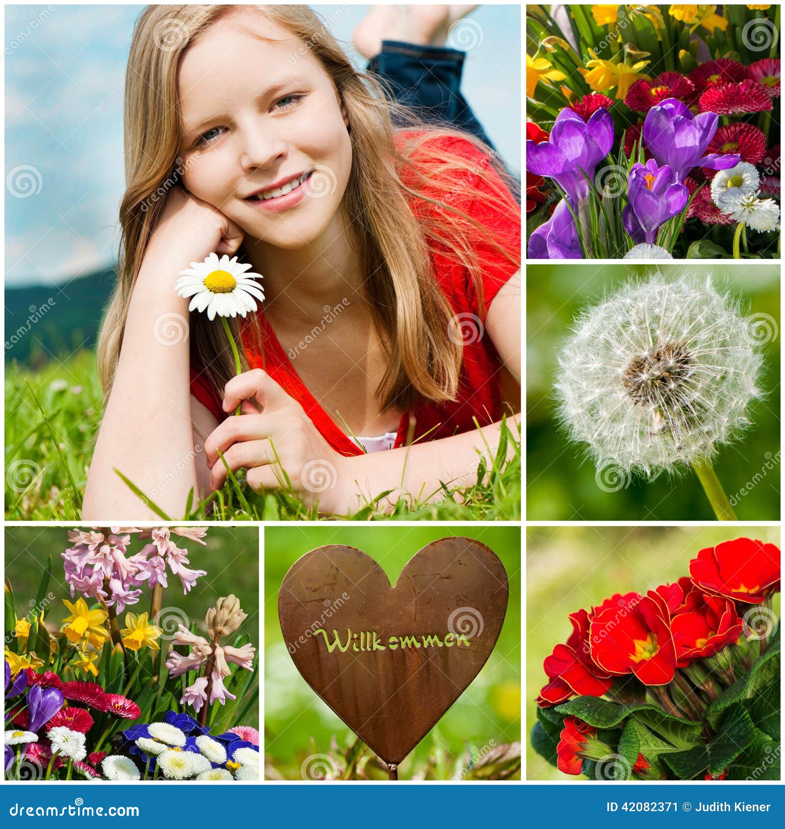 Summer collage stock image. Image of shield, blond, meadow - 42082371