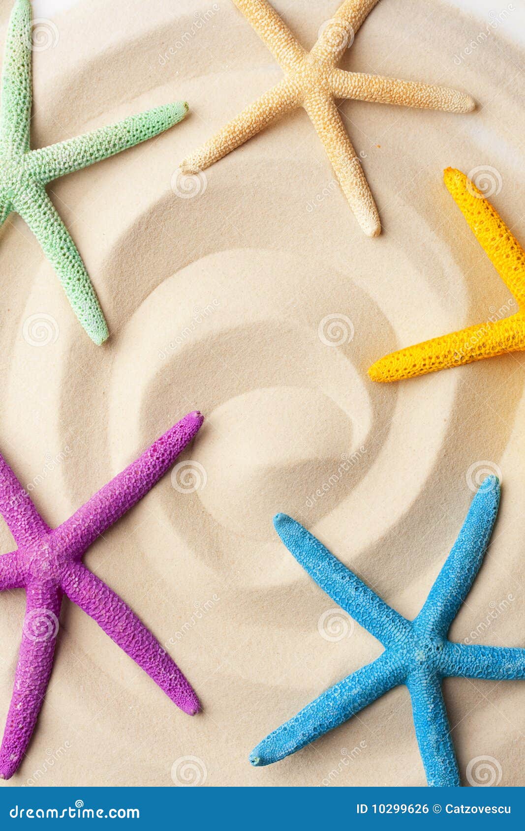 Summer concept stock photo. Image of nature, sunny, sunshine - 10299626