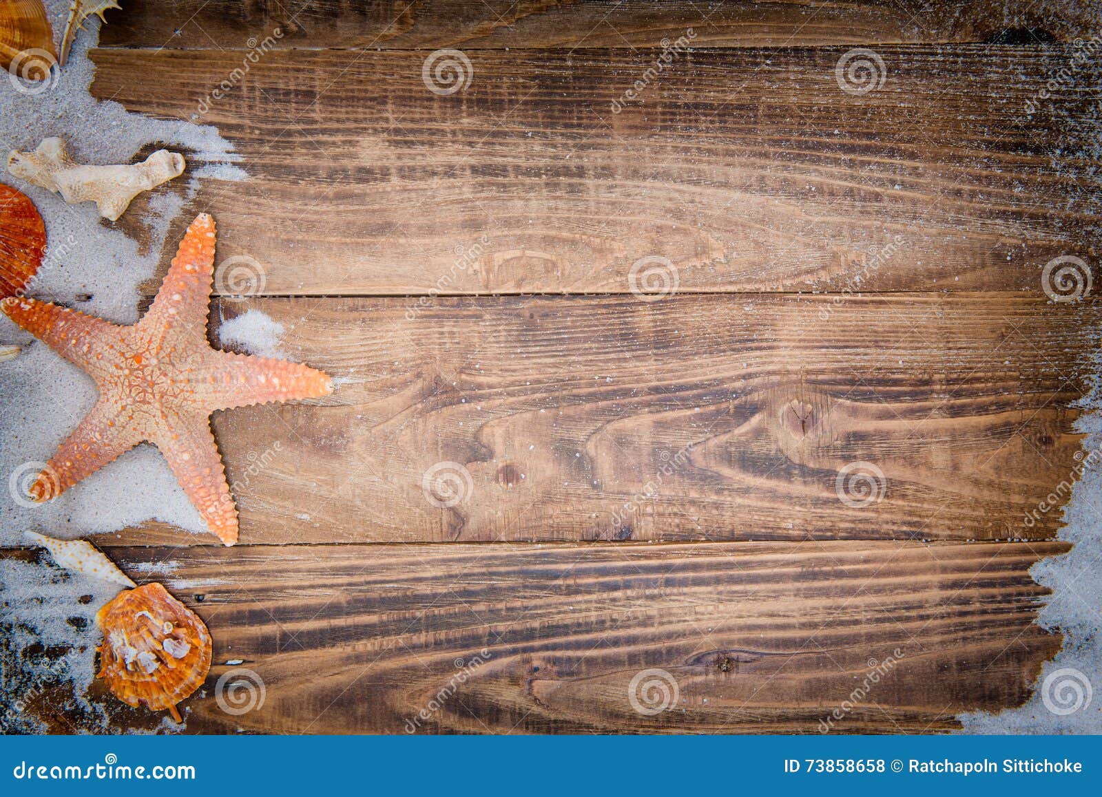 Summer concept stock photo. Image of ocean, concept, sand - 73858658