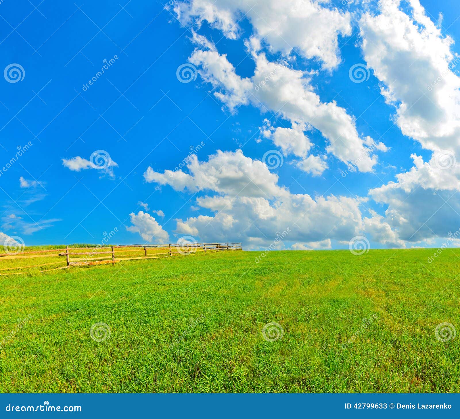 Summer country stock image. Image of country, rural, sunny - 42799633