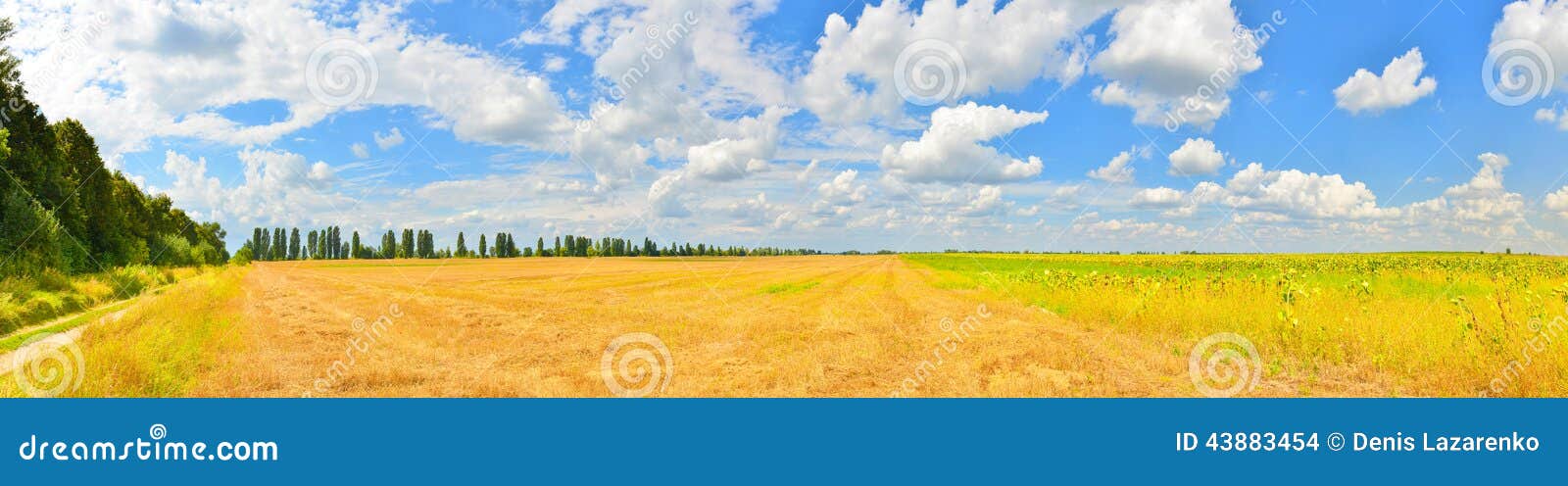 Summer country stock photo. Image of land, country, field - 43883454