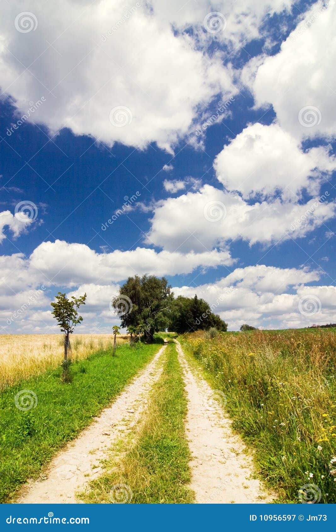 Summer countryside stock image. Image of sunny, park - 10956597