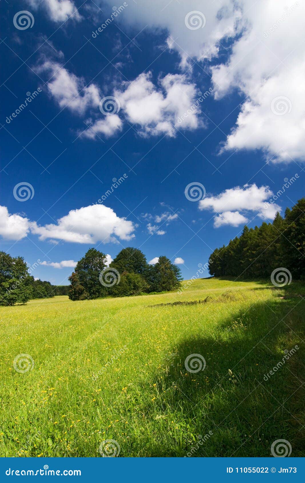 Summer countryside stock photo. Image of road, green - 11055022