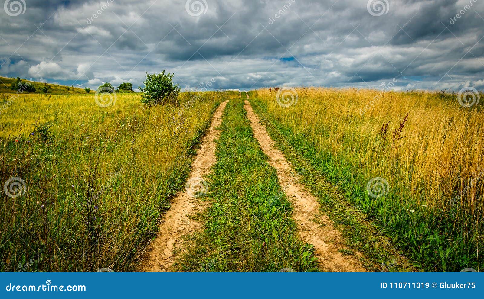 Empty Rural Dirt Road through Grassy Field Under a Cloudy Dramatic Sky ...