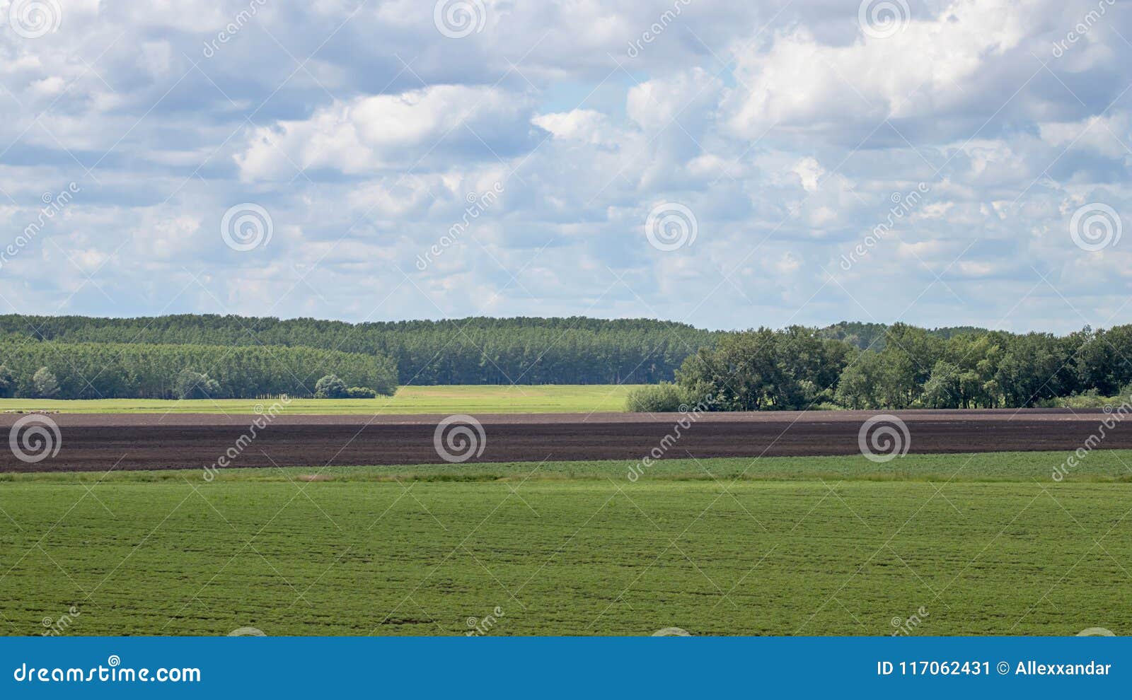 Summer Countryside Fields. Distant Fields Landscape Stock Image - Image ...