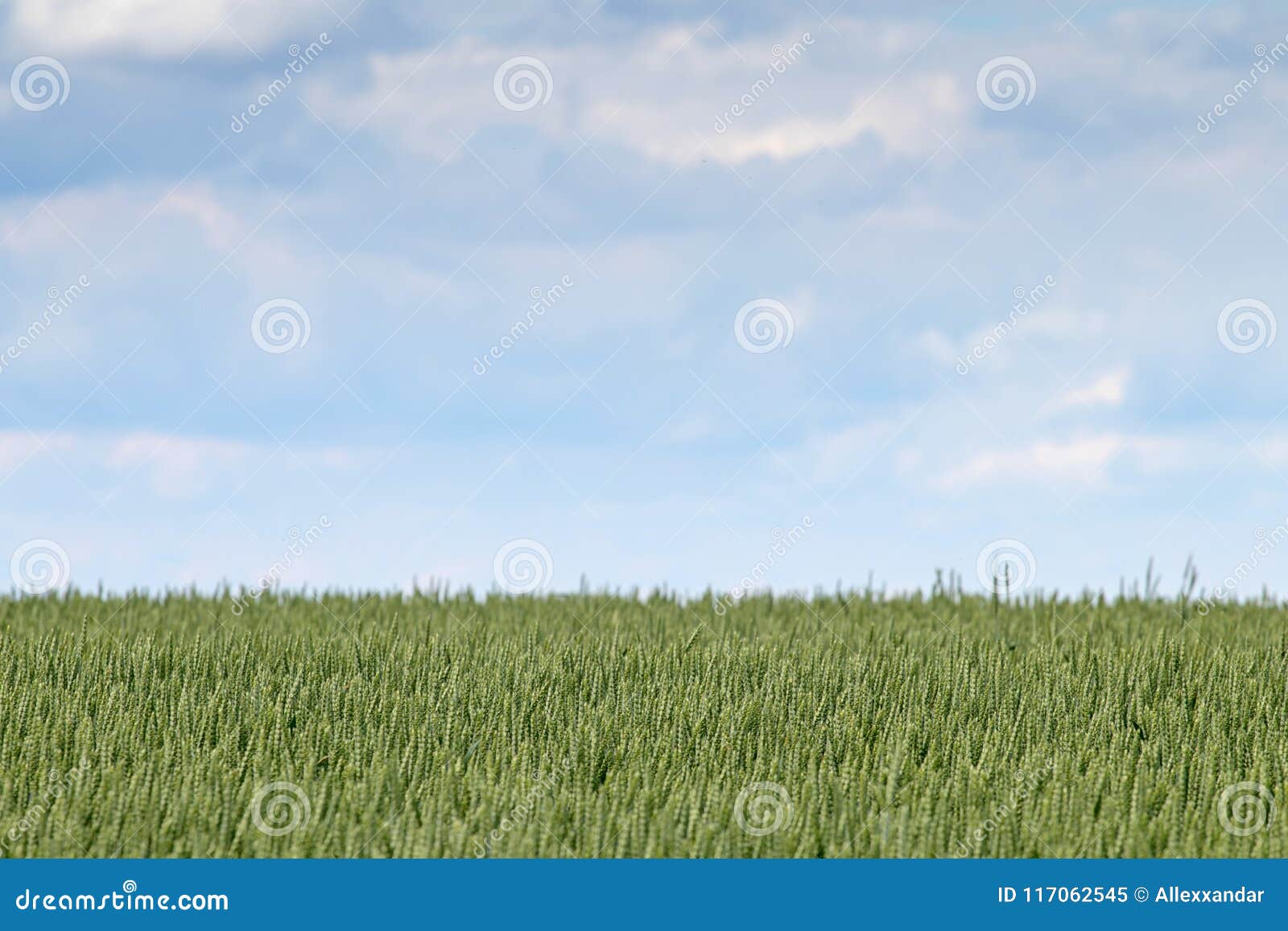 Summer Countryside Fields. Distant Fields Landscape Stock Image - Image ...