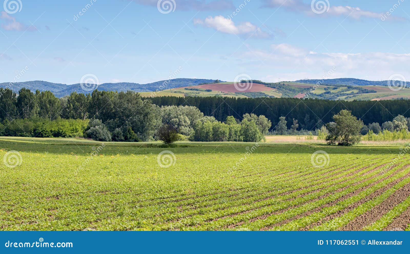 Summer Countryside Fields. Distant Fields Landscape Stock Image - Image ...