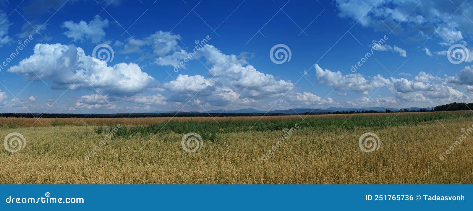 Summer Countryside Panorama 1 Editorial Photo - Image of outdoor ...