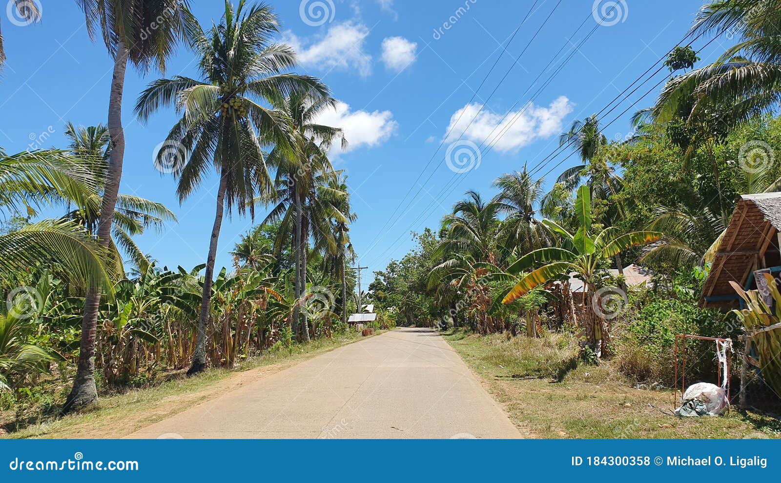 COVID-19 Lockdown Cordon Containment Barricade Panorama Obstacle Detour ...