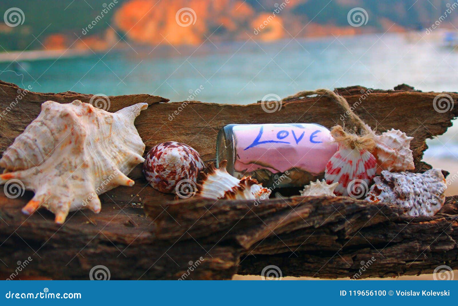Summer Creation on the Beach with Sea Natural Creatures Stock Photo ...
