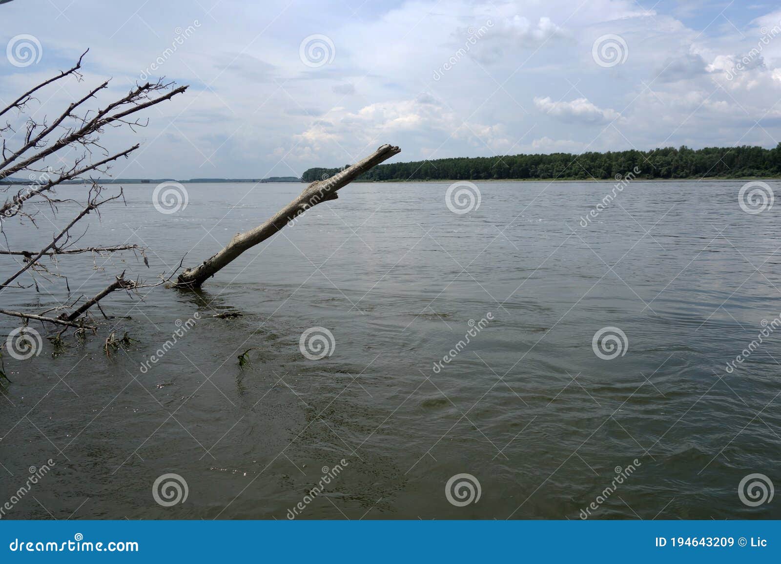 Summer 2020 on the Danube River Stock Image - Image of waters, area ...