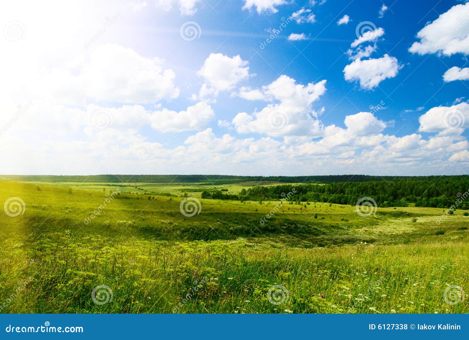 Summer day stock photo. Image of green, natural, paradise - 6127338