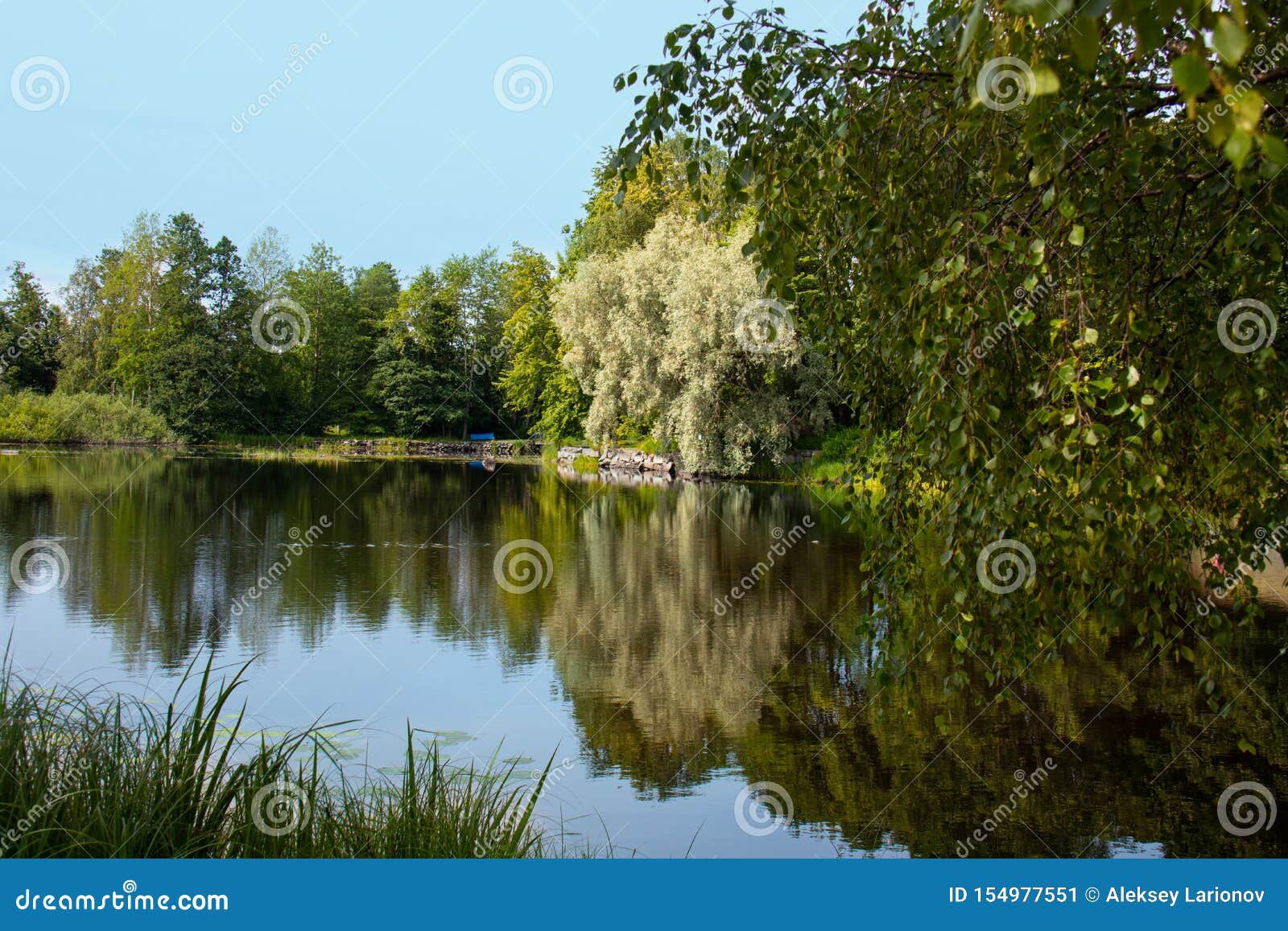Summer Day on the Banks of a Small River Stock Image - Image of bright ...