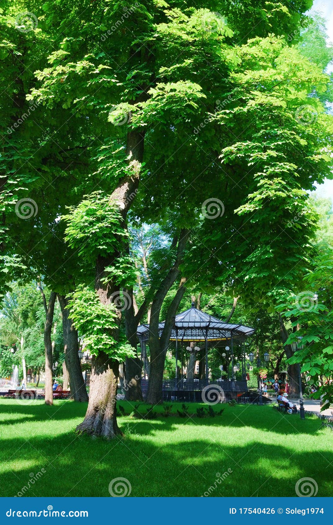 Summer day in city park stock photo. Image of midday - 17540426