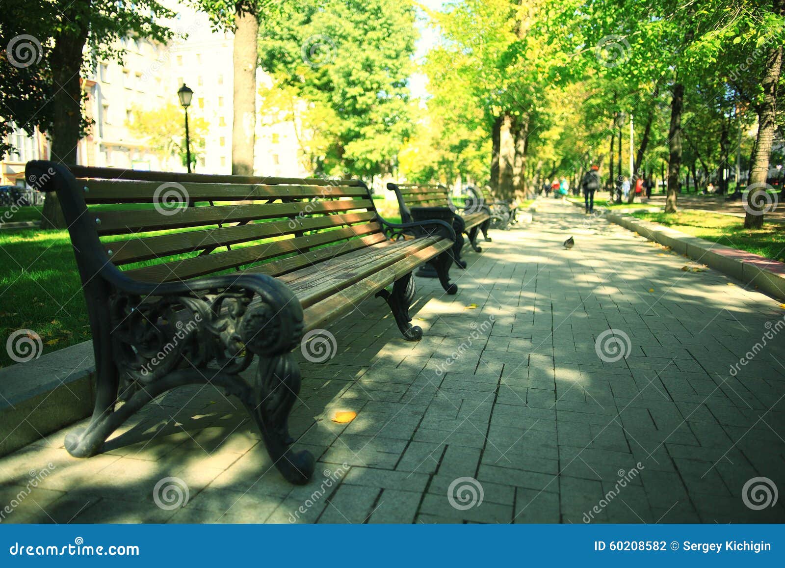 Summer Day in the City Park Stock Photo - Image of fresh, nature: 60208582