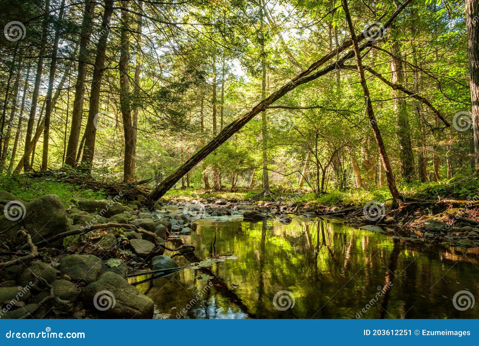 Stream Motion Blur stock image. Image of stream, landscape - 203612251