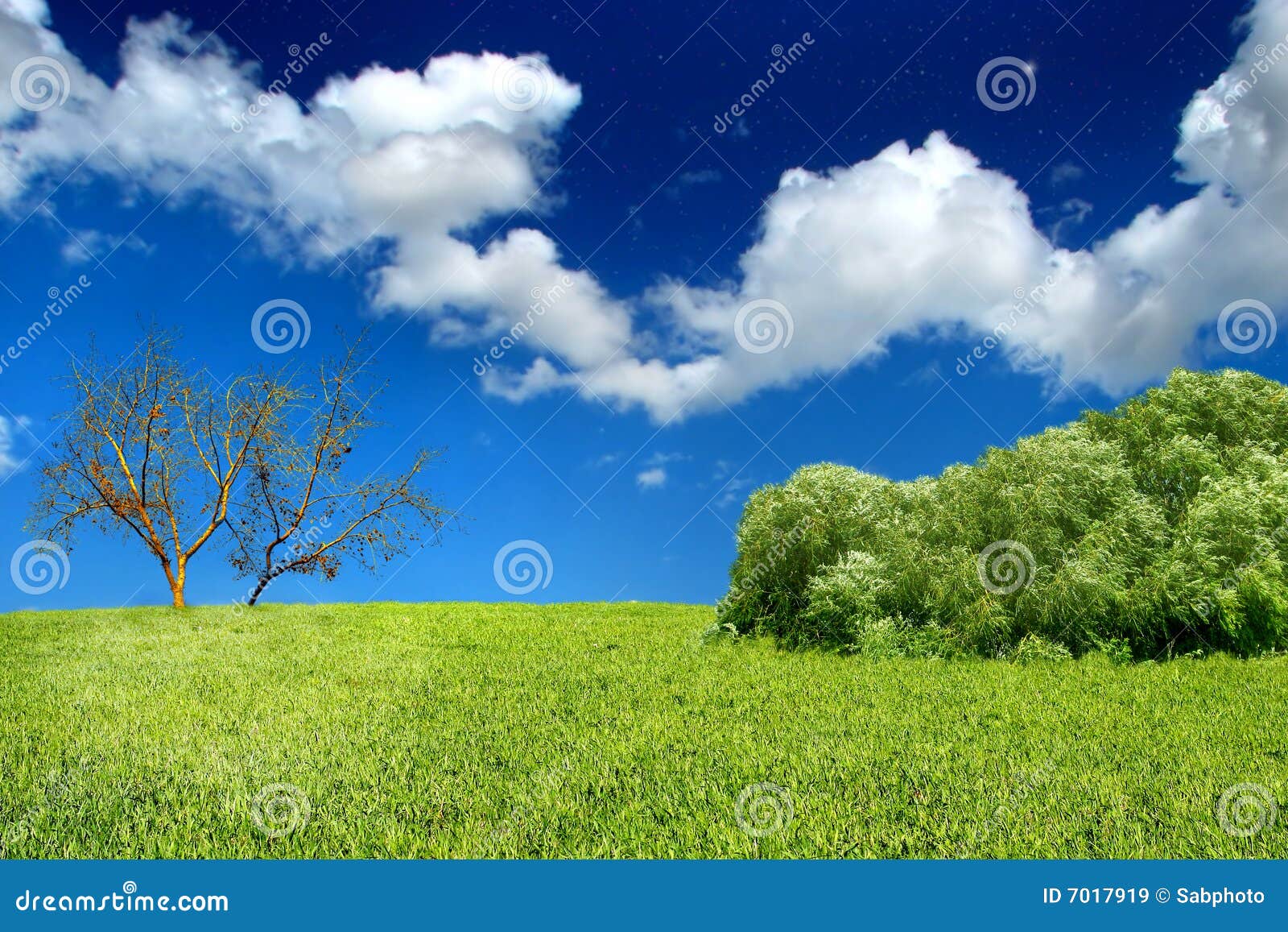 Summer day landscape stock image. Image of colorful, dried - 7017919