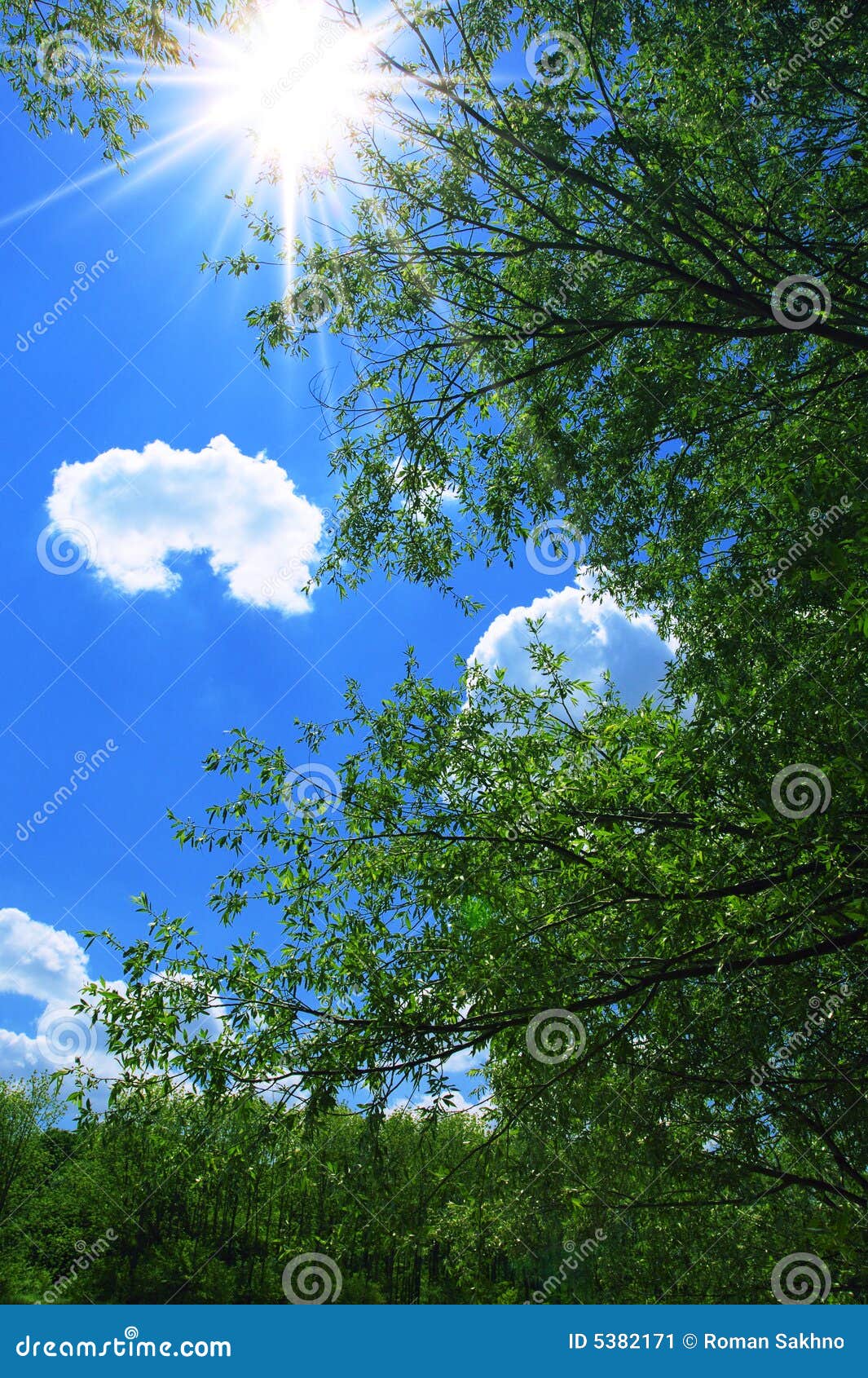 Summer day at noon stock image. Image of light, plants - 5382171