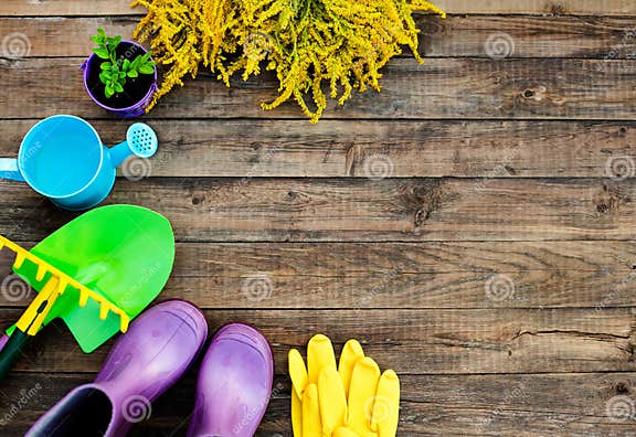 Summer Day Out of Town on Nature Stock Image - Image of vacation ... Summer Day Out of Town on Nature Stock Image - Image of vacation ...