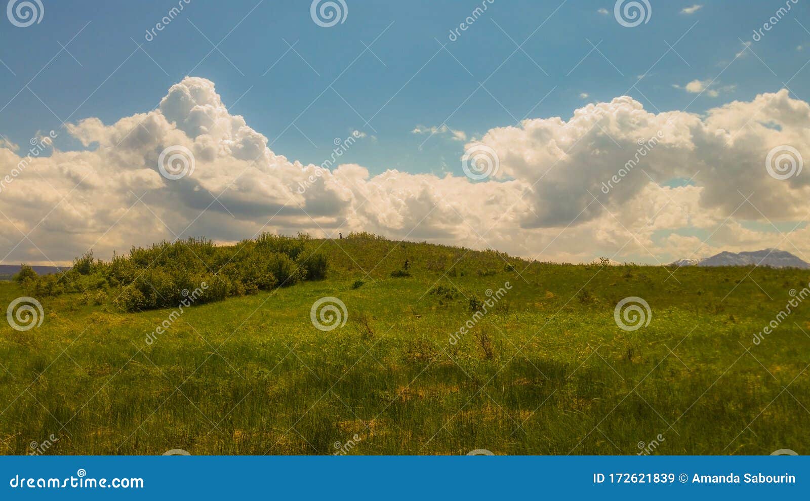 Summer day in the prairie stock image. Image of prairie - 172621839