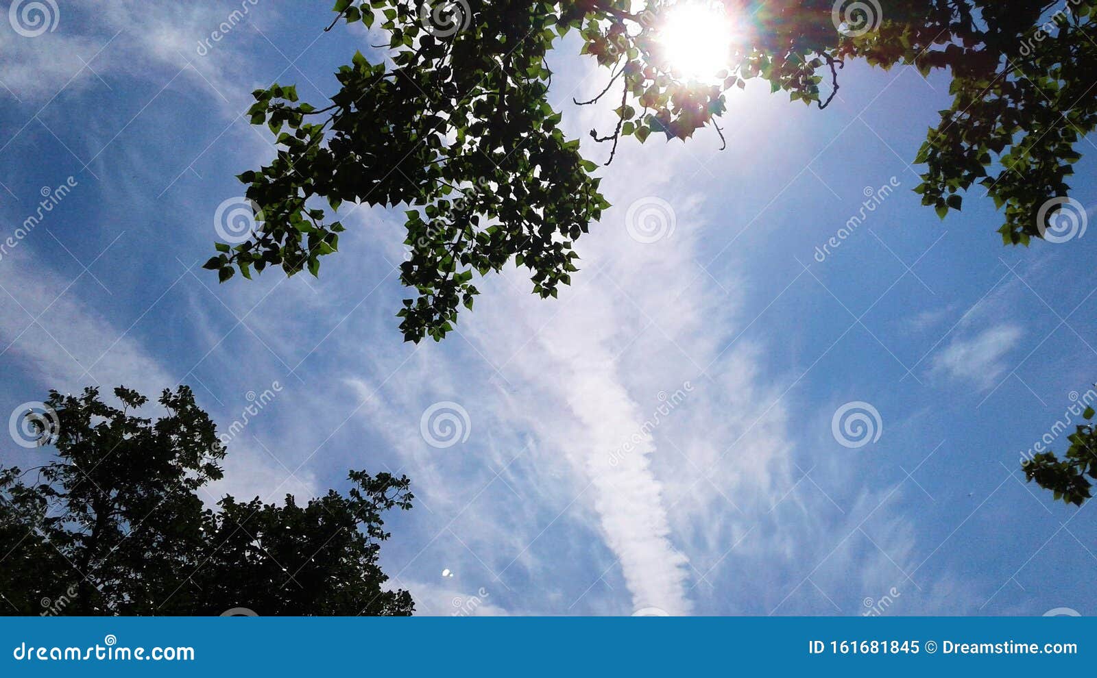 Summer day and sun stock image. Image of green, clouds - 161681845