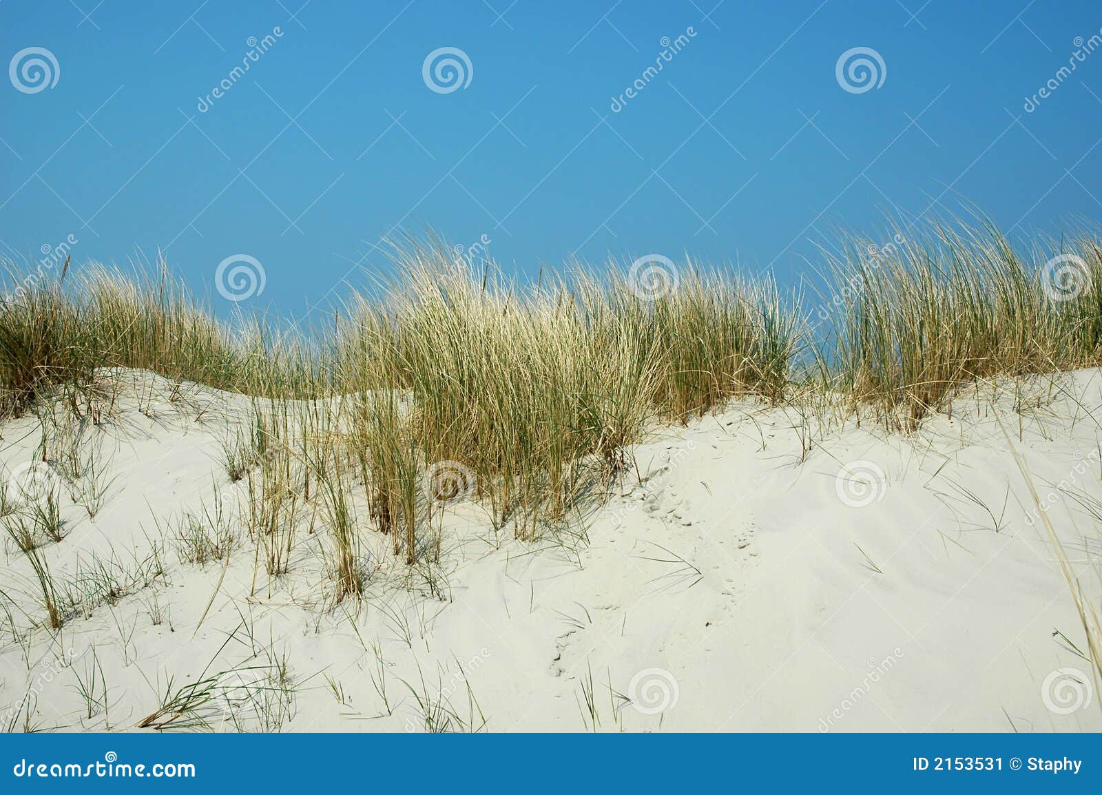 Summer dunes stock image. Image of coast, beach, coastline - 2153531