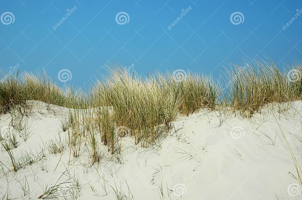 Summer dunes stock image. Image of coast, beach, coastline - 2153531