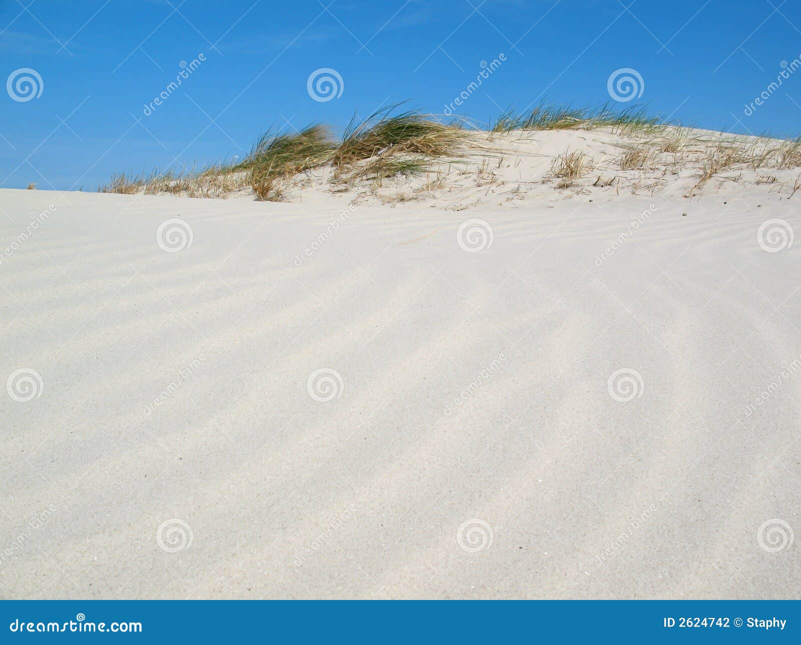 Summer dunes stock photo. Image of grass, horizontal, sand - 2624742