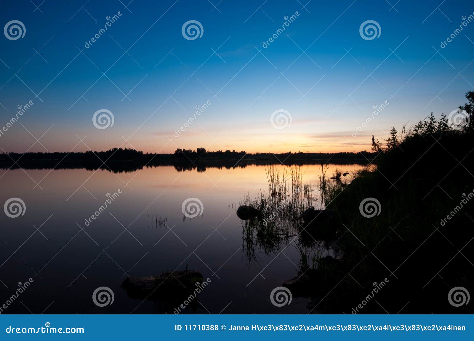 Summer evening stock photo. Image of lakeside, quiet - 11710388