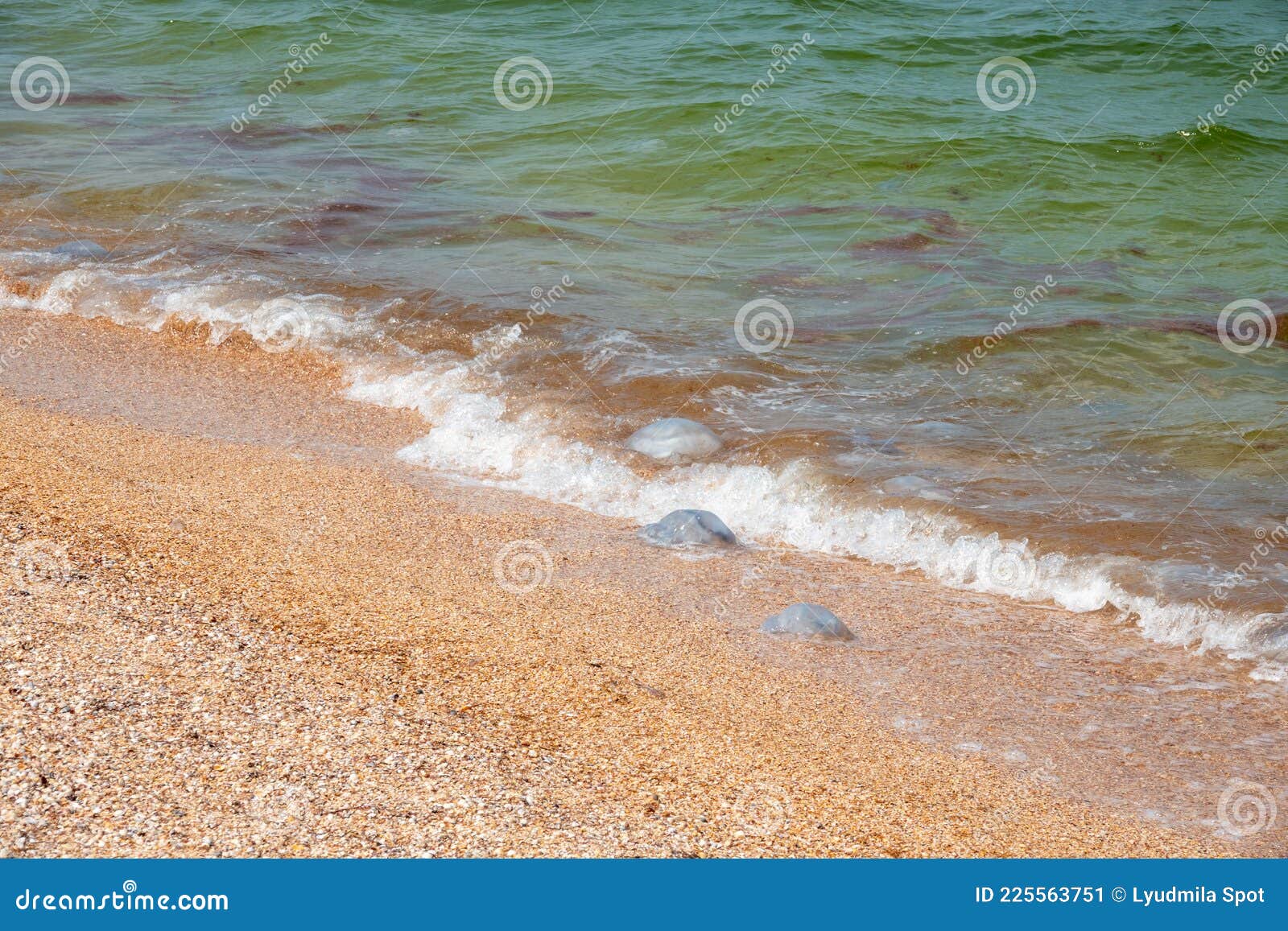 Summer Evening on a Beach of Azov Sea in Summer Stock Image - Image of ...