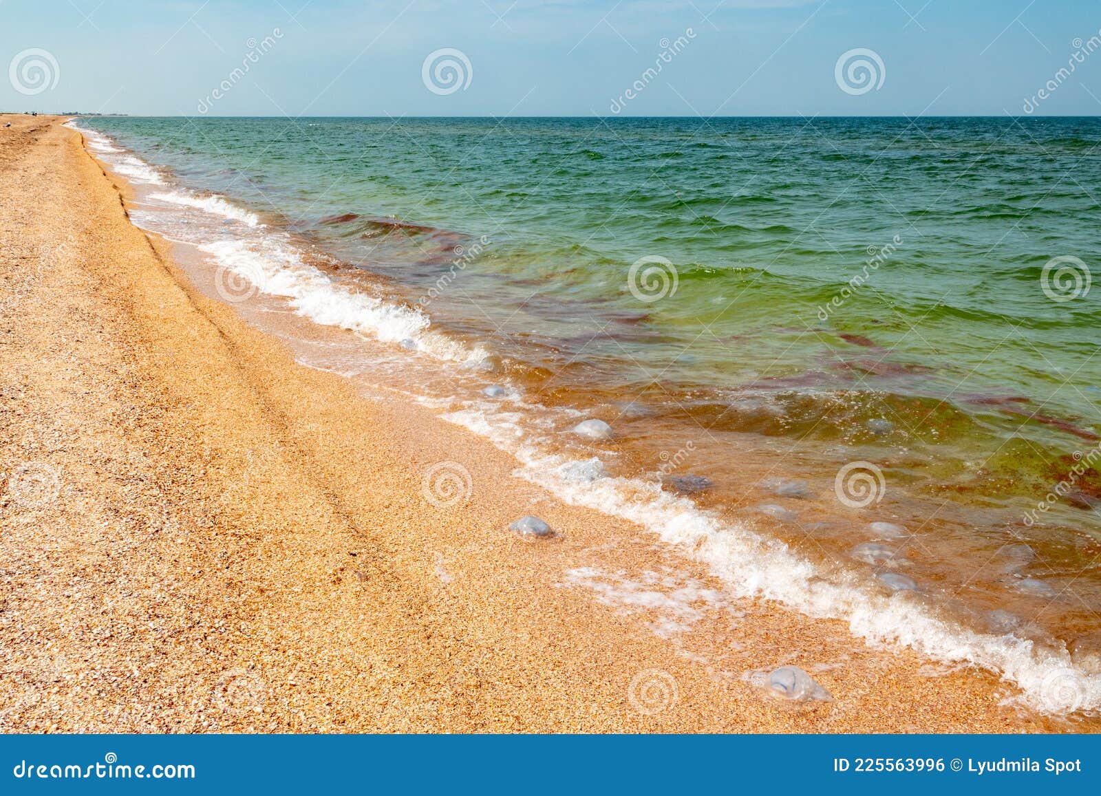 Summer Evening on a Beach of Azov Sea in Summer Stock Photo - Image of ...