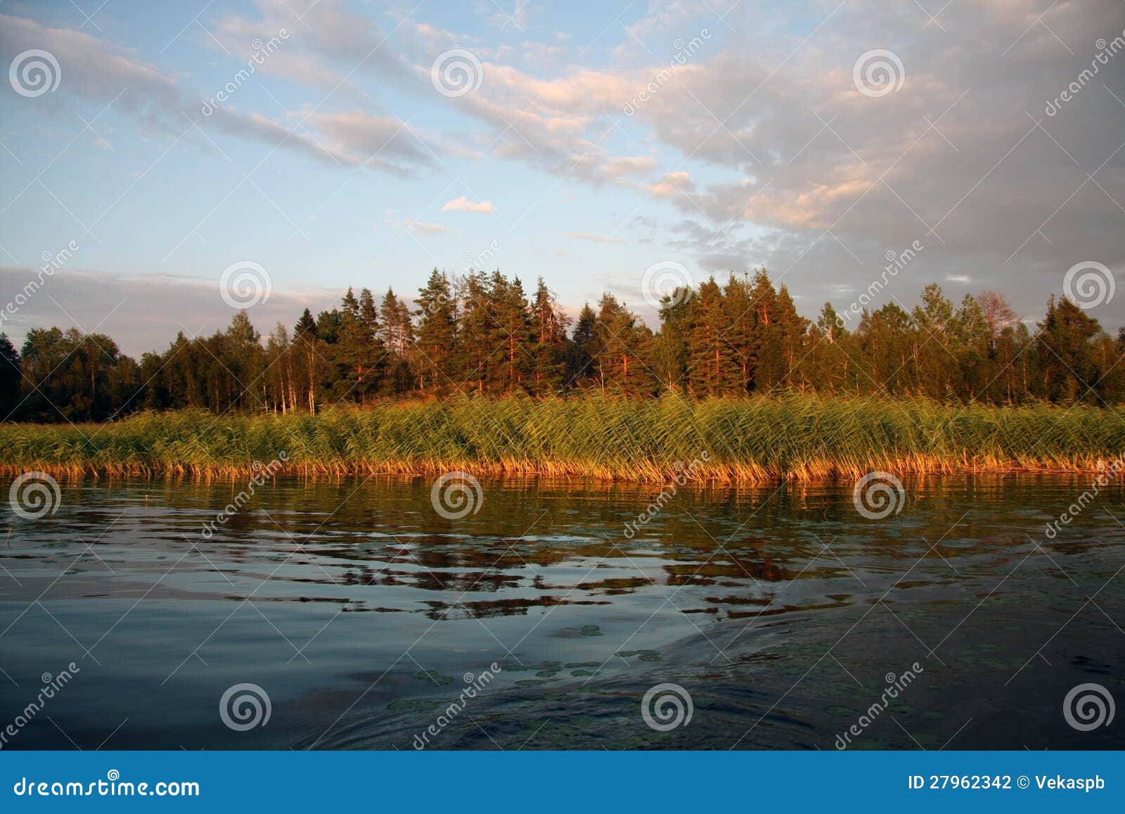 Summer Evening on the lake stock photo. Image of sunset - 27962342