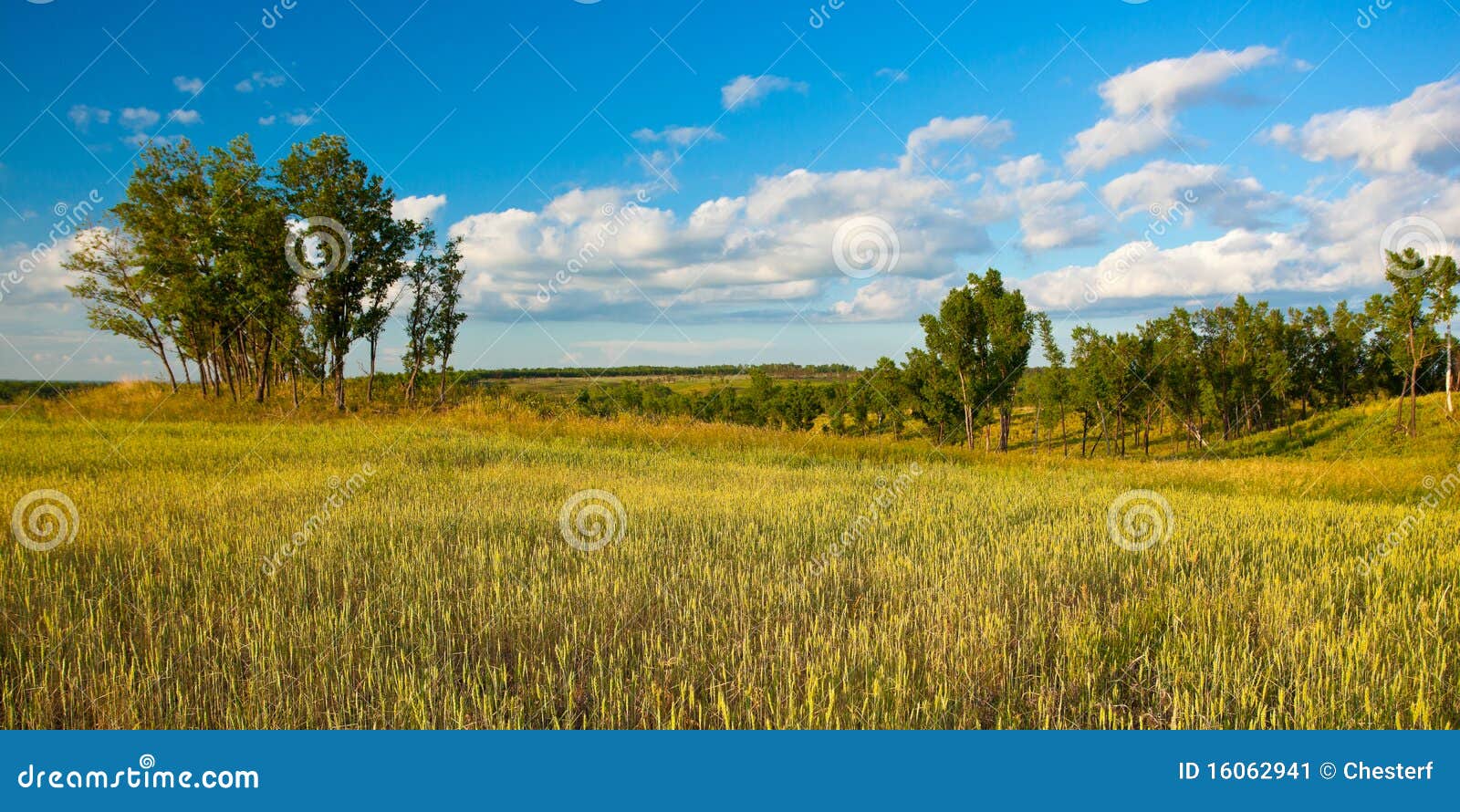Summer evening landscape stock image. Image of horizon - 16062941