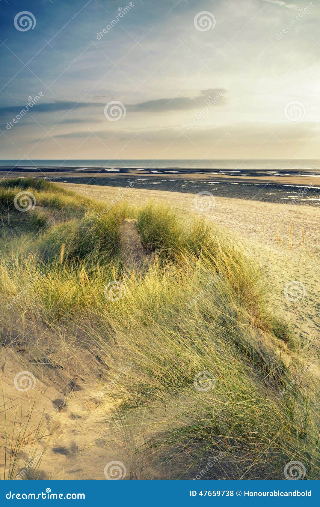 Summer Evening Landscape View Over Grassy Sand Dunes on Beach Wi Stock ...