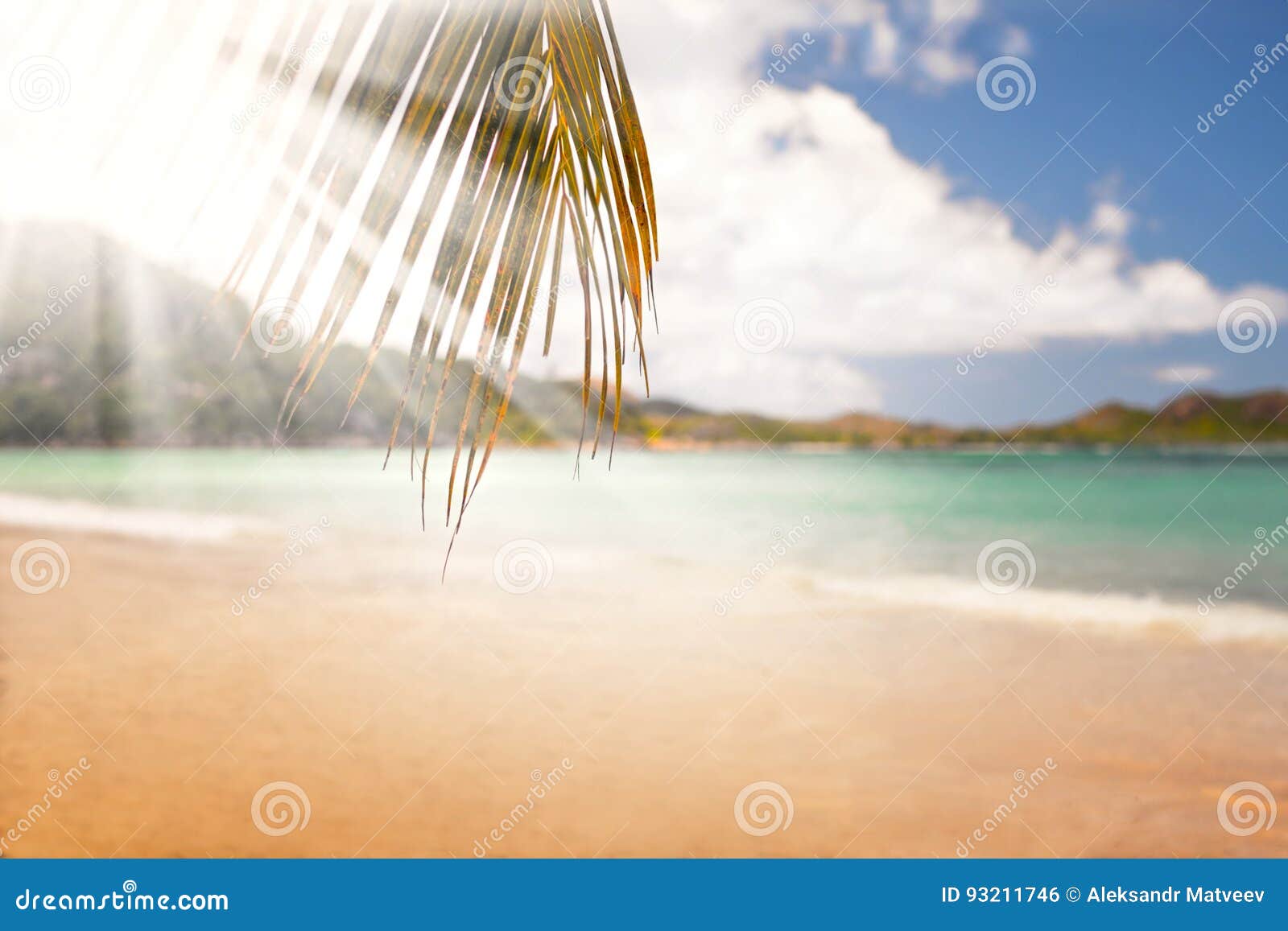 Summer Exotic Sandy Beach with Blur Palms and Sea on Background Stock ...
