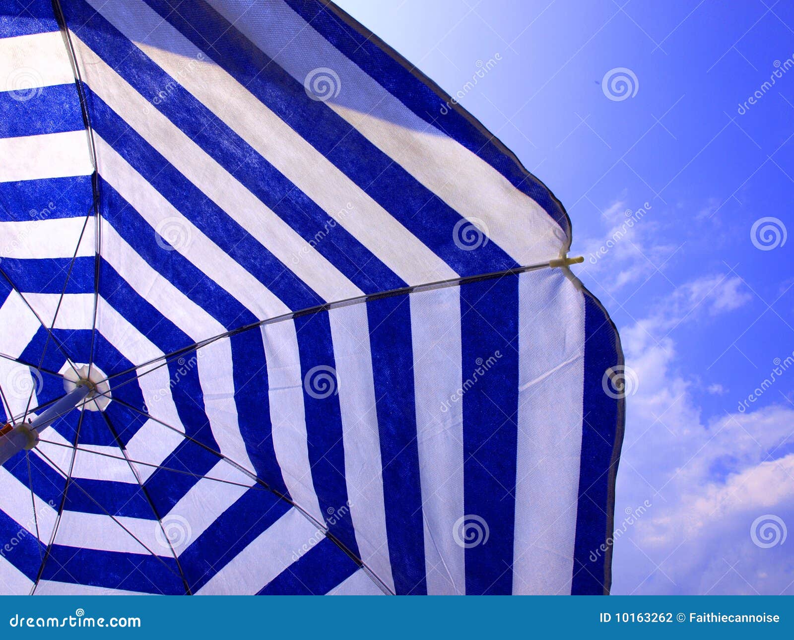 Summer Experience Picture. Image: 10163262