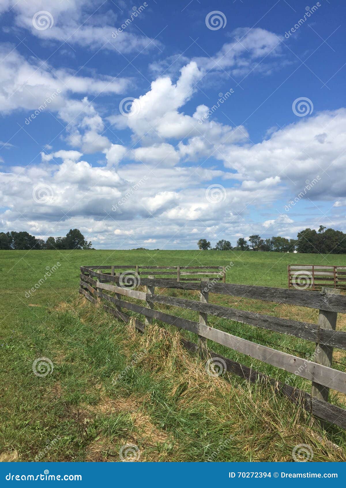 Summer on the farm stock photo. Image of farm, summer - 70272394