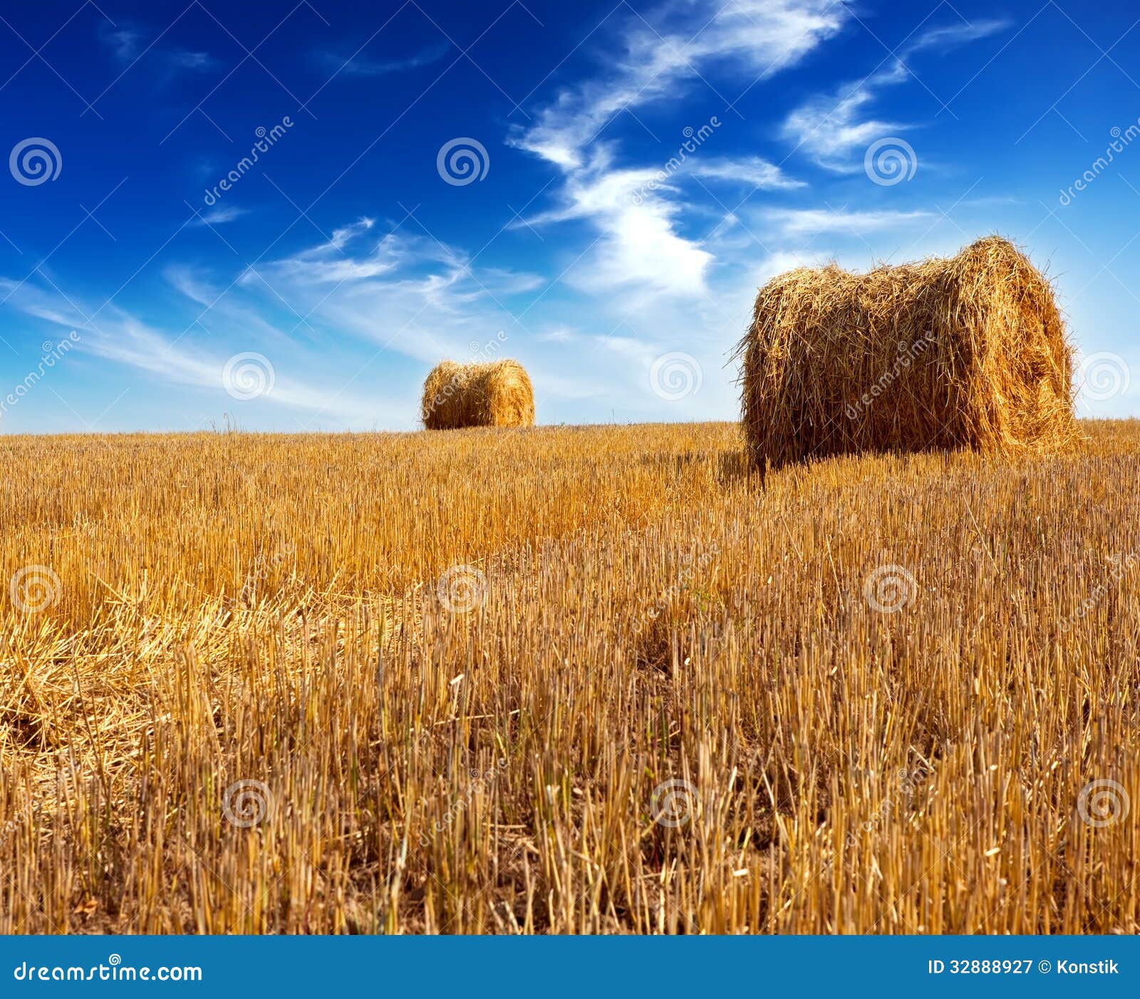 Summer on a farm stock image. Image of ranch, countryside - 32888927