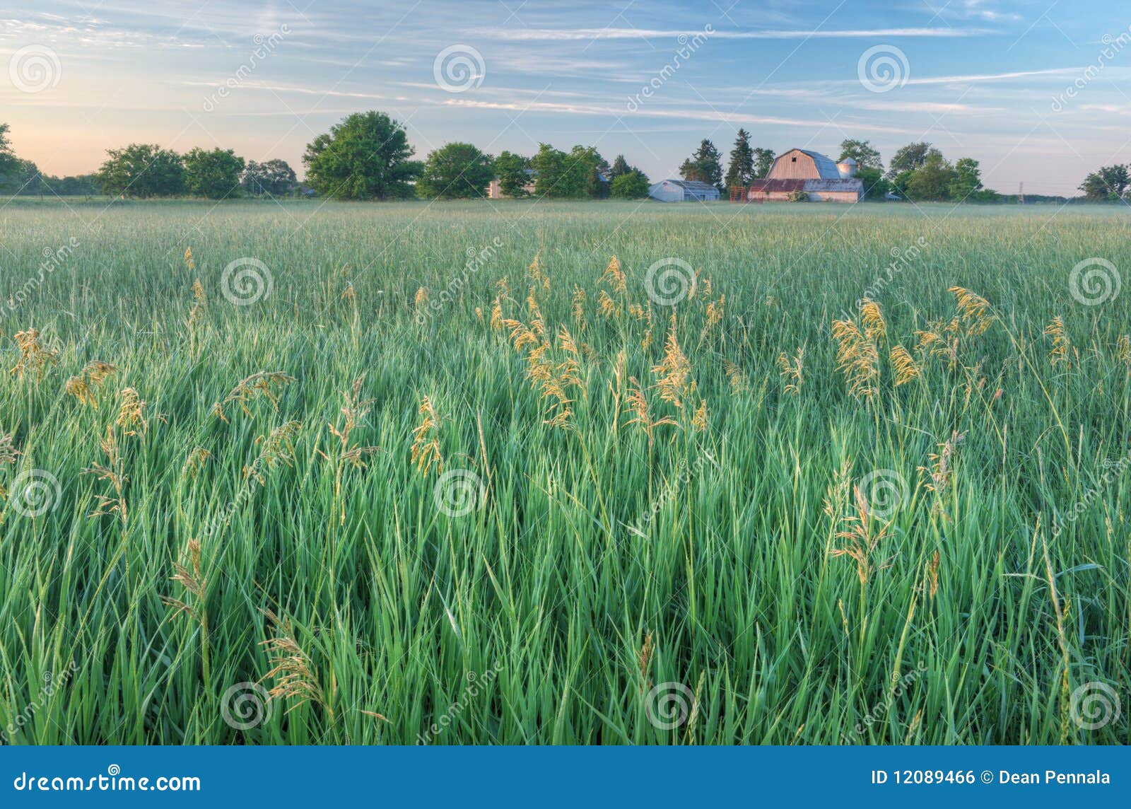 Summer Farmstead stock photo. Image of summer, natural - 12089466