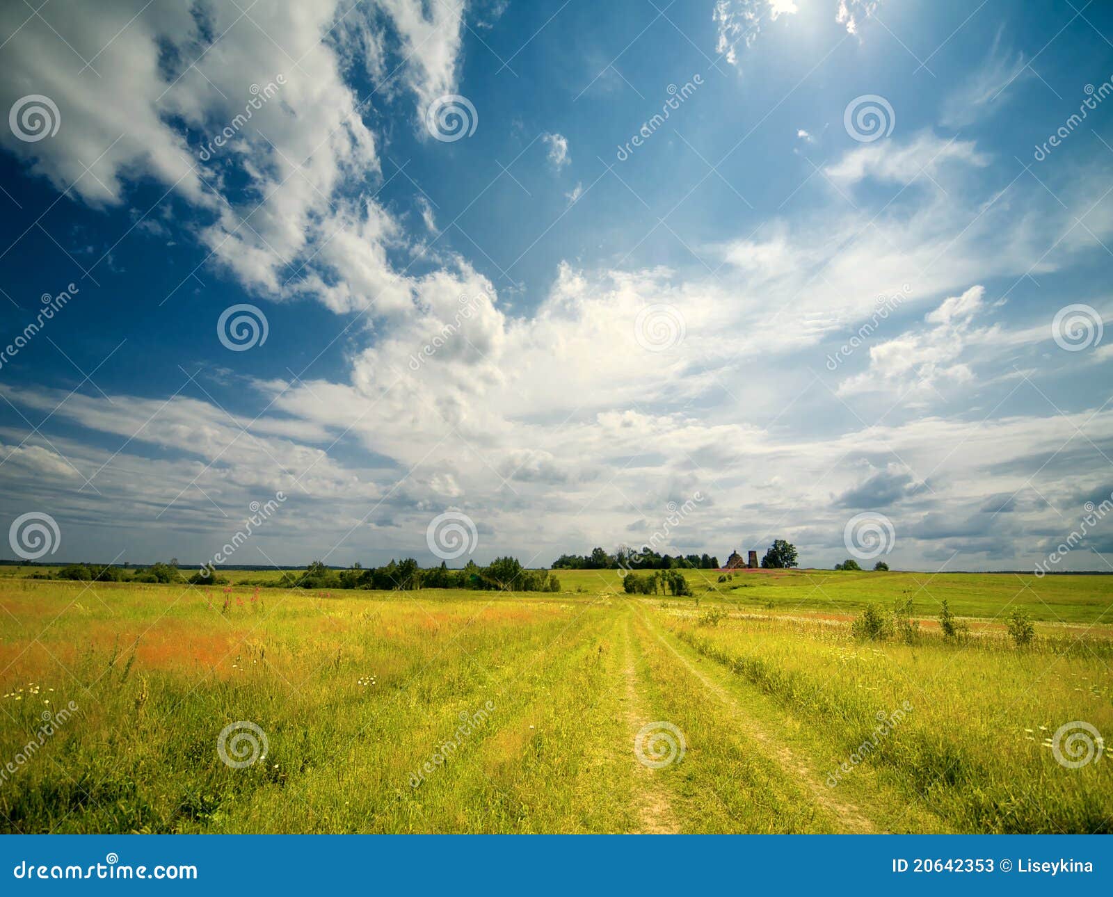 Summer field stock image. Image of light, land, outdoors - 20642353