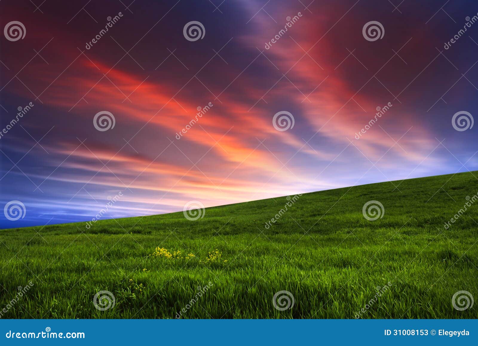 Summer Field with Dramatic Sky Stock Image - Image of farm, garden ...