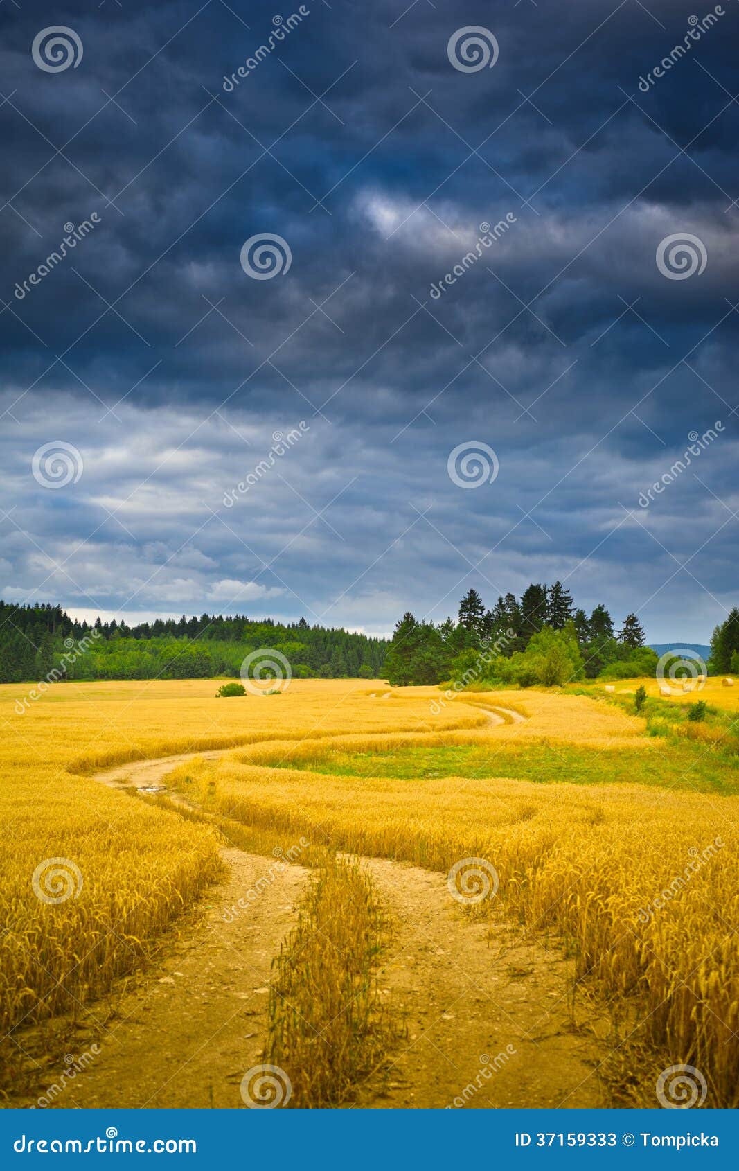 Summer field stock image. Image of afternoon, path, hills - 37159333