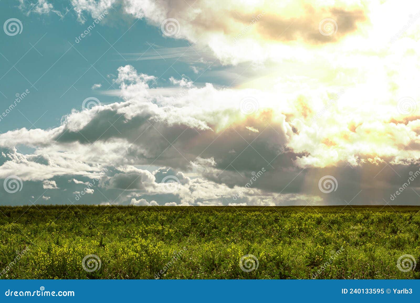 Summer Field Landscape and Beautiful Sky with Dramatic Clouds and ...