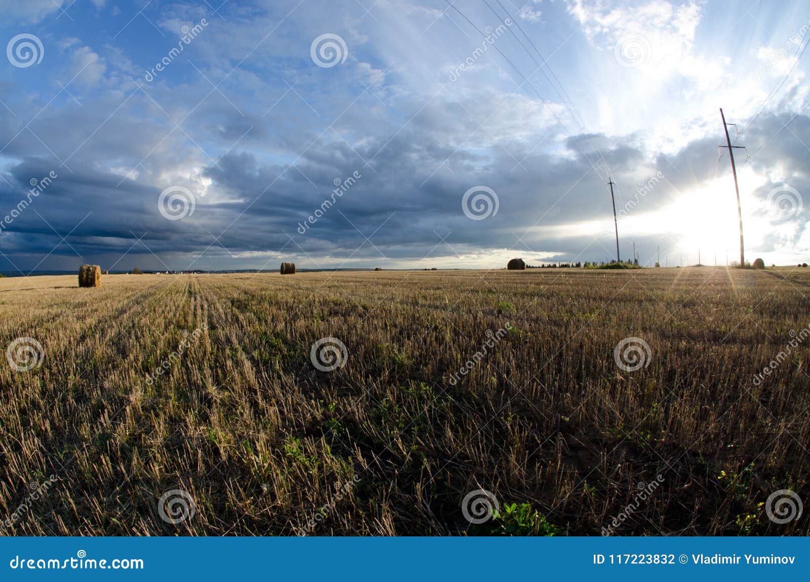 Summer Field during Hayfields Stock Photo - Image of outfit, vicinity ...