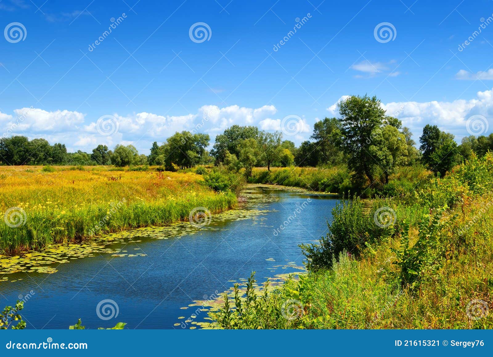 Summer field with river stock image. Image of horizon - 21615321