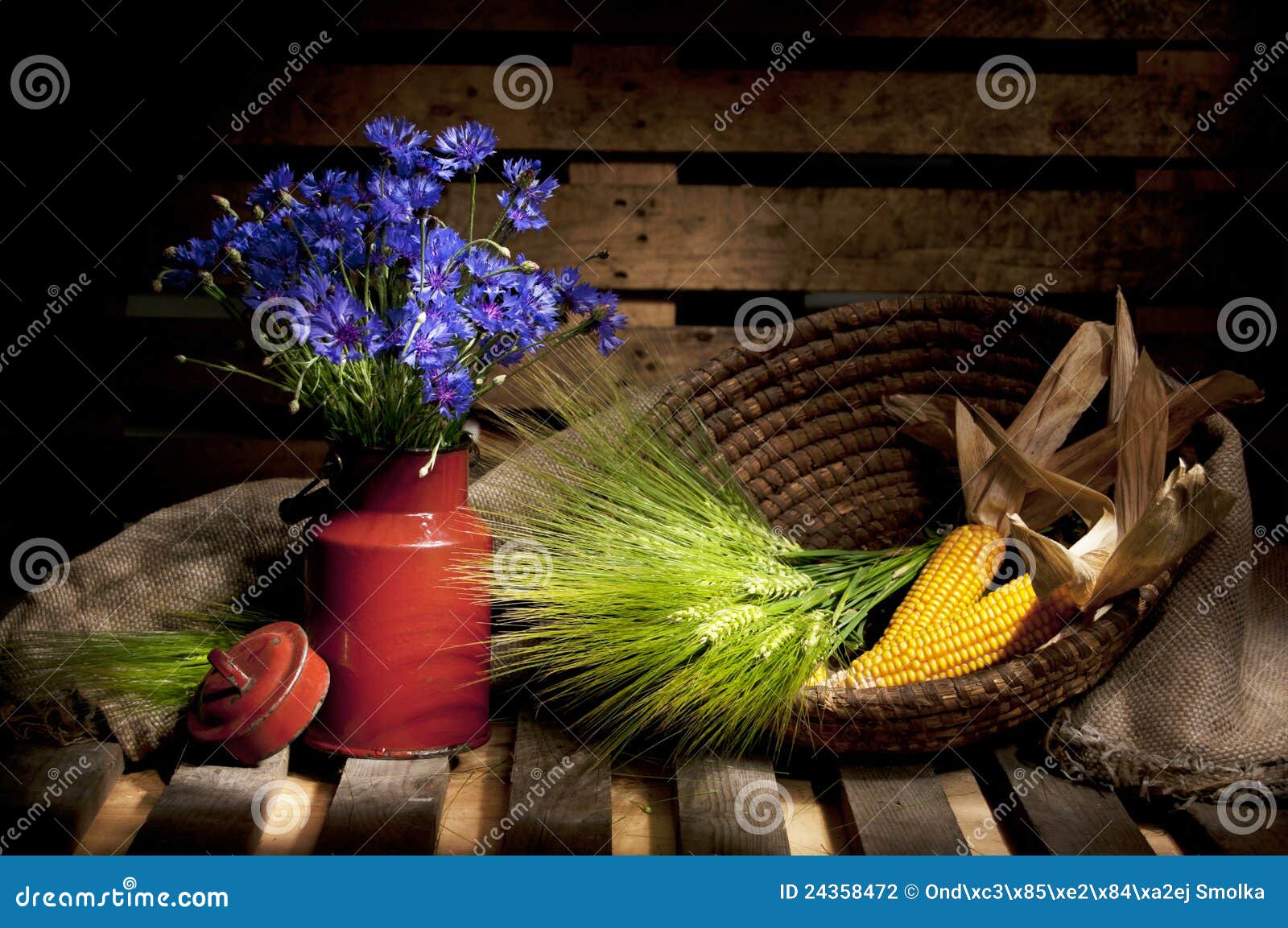 Summer field still life stock photo. Image of garden - 24358472