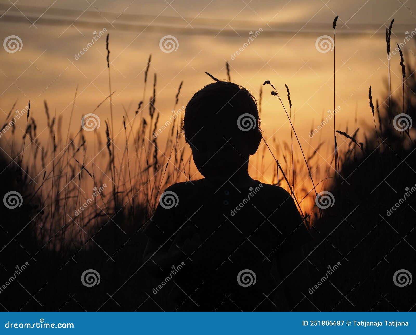 Summer Field Sunset Child Sun Rays Evening Night Stock Image - Image of ...