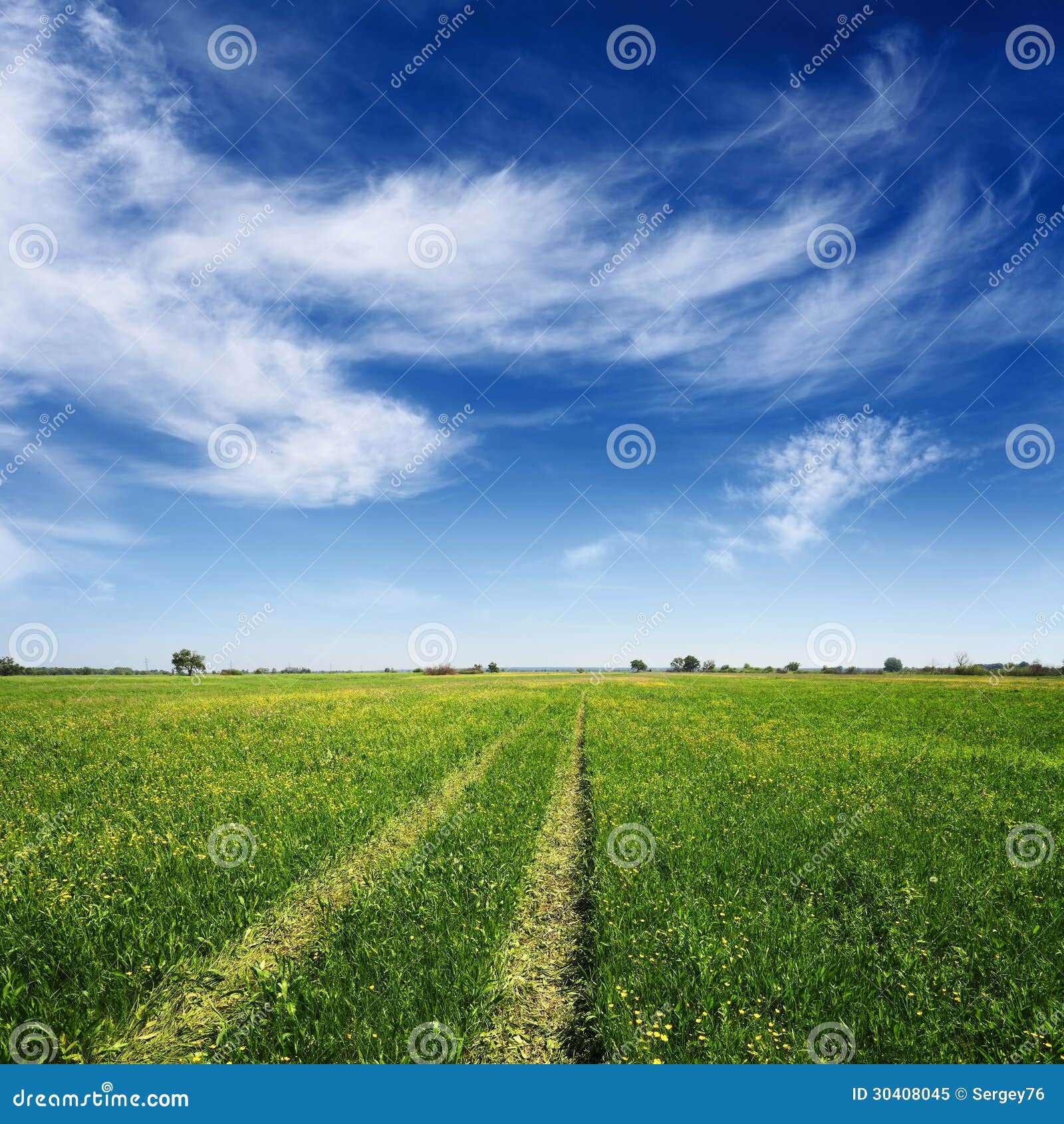 Summer Field with Tracks of Car on Grass Stock Image - Image of cloudy ...