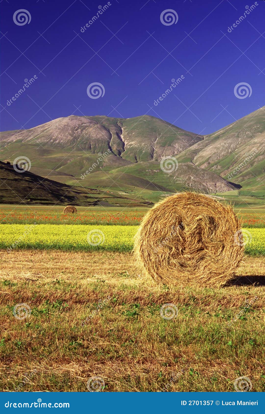Summer fields stock image. Image of rural, apennines, flowering - 2701357