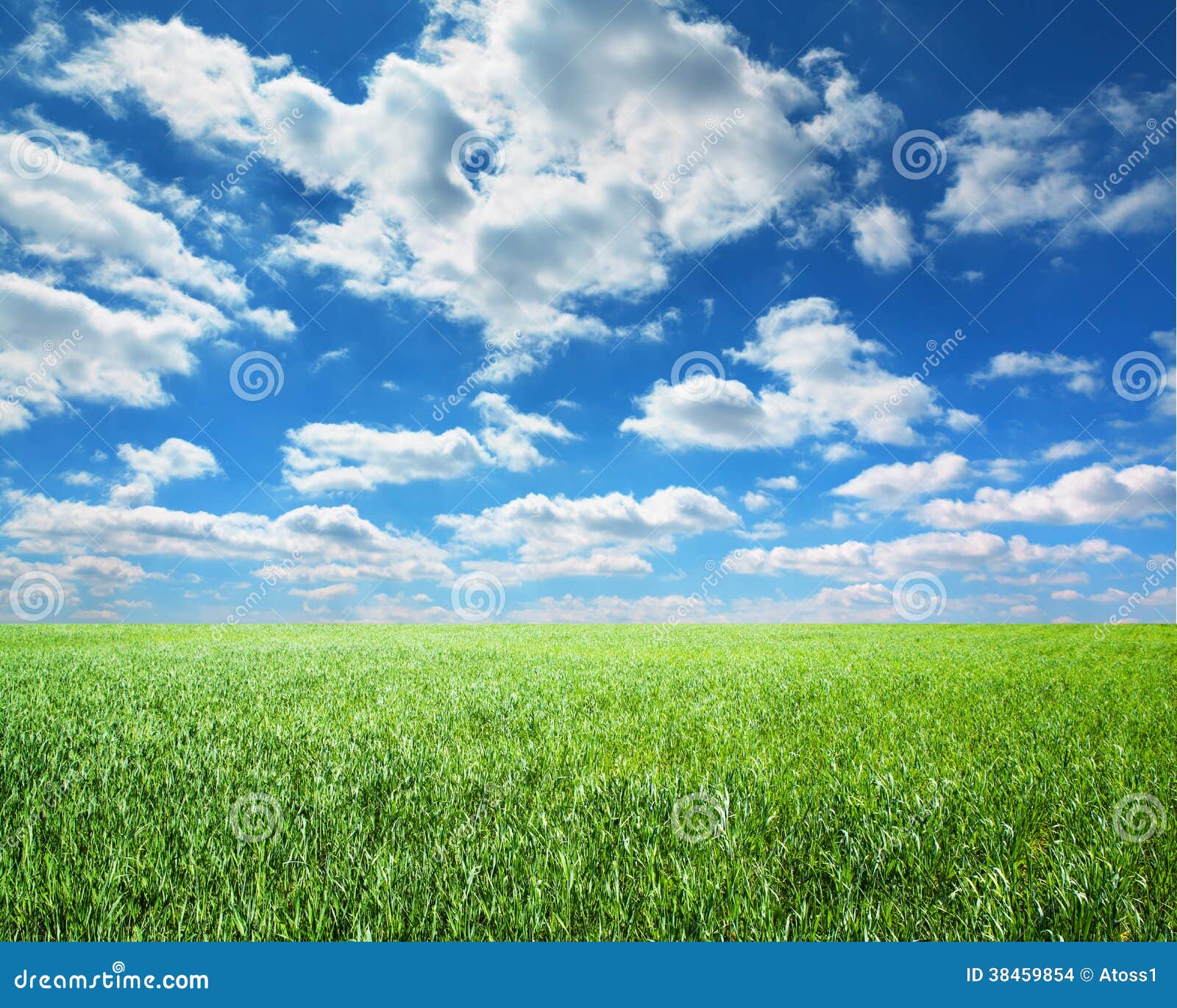 Summer fields stock photo. Image of cloudy, green, nature - 38459854